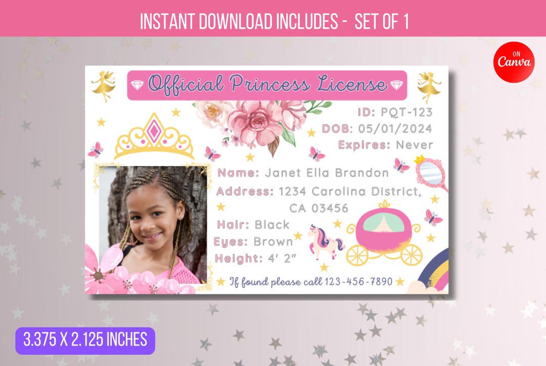 EDITBALE Custom Princess License | Driver's License | Children's ...