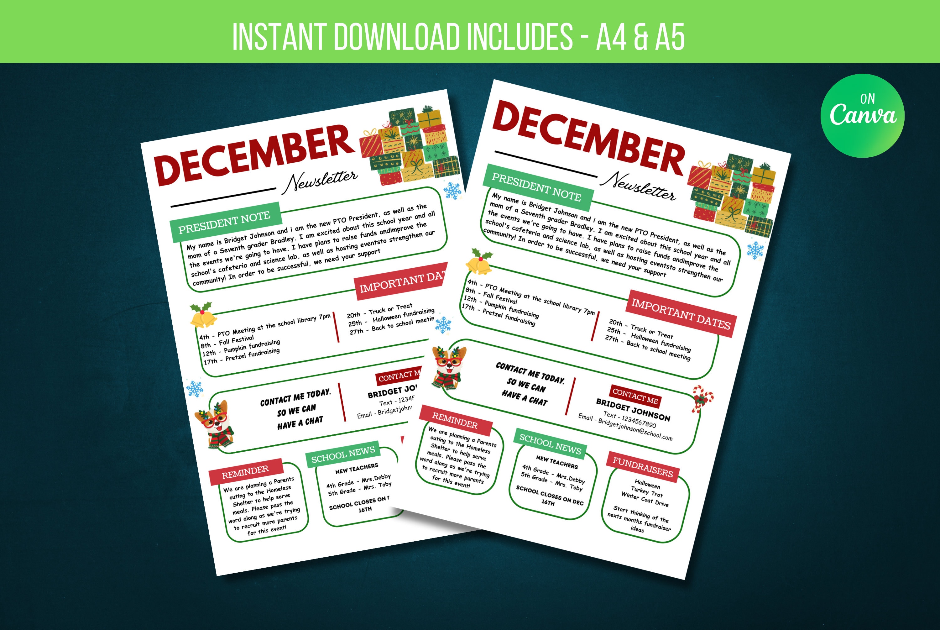 EDITABLE December Newsletter Template Classroom Printable - Etsy