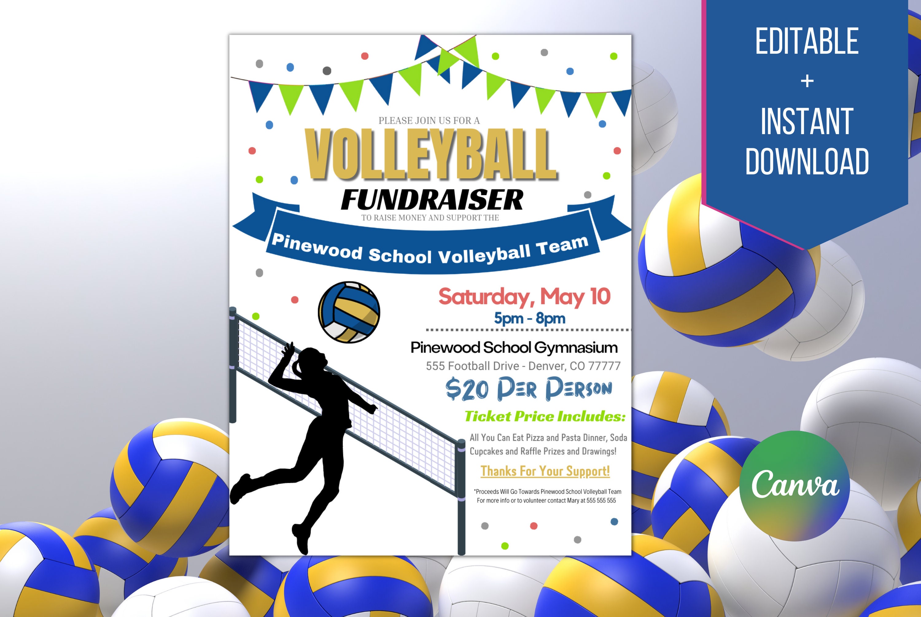 EDITABLE Volleyball Fundraiser Flyer Template, Charity Non Profit Event ...