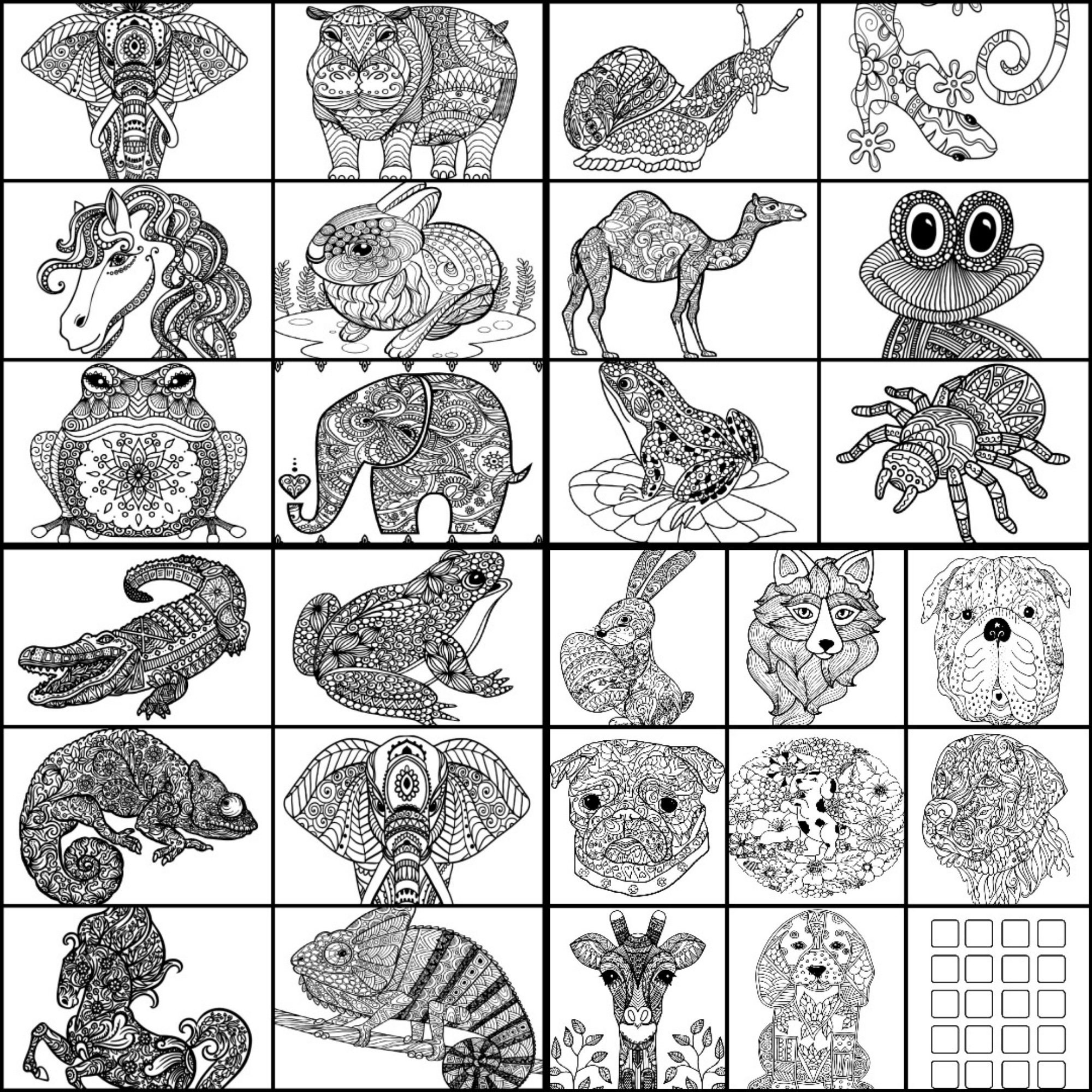 Animal Mandalas Coloring Pages Book 1 - PRINTABLE PDF a Mix of Animals ...