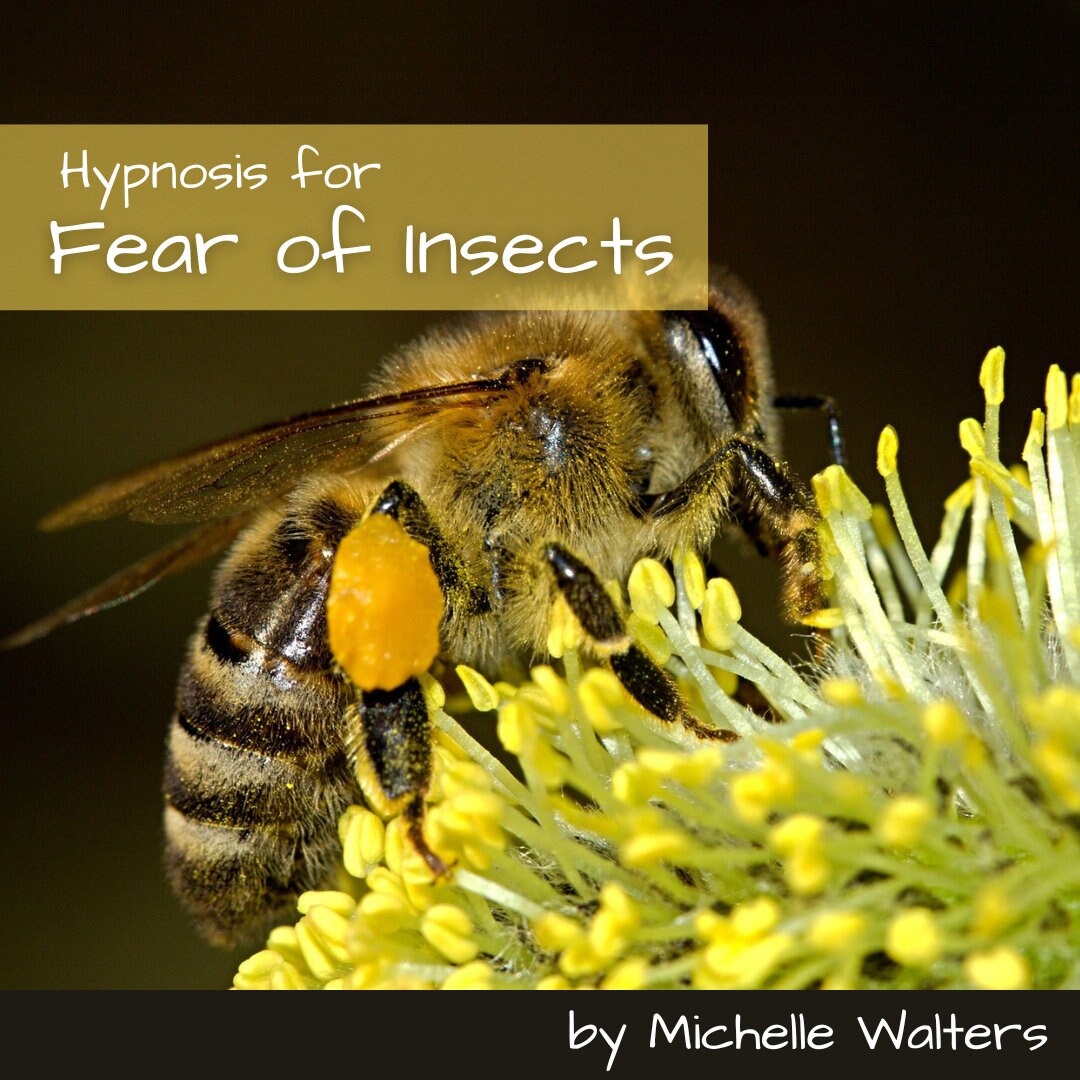 Hypnosis to Overcome Fear of Bees, Spiders and Insects - Hypnotherapy ...