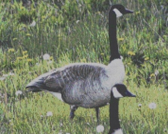 Hawaiian Goose nene Cross Stitch Pattern PDF Nene Embroidery Instant ...