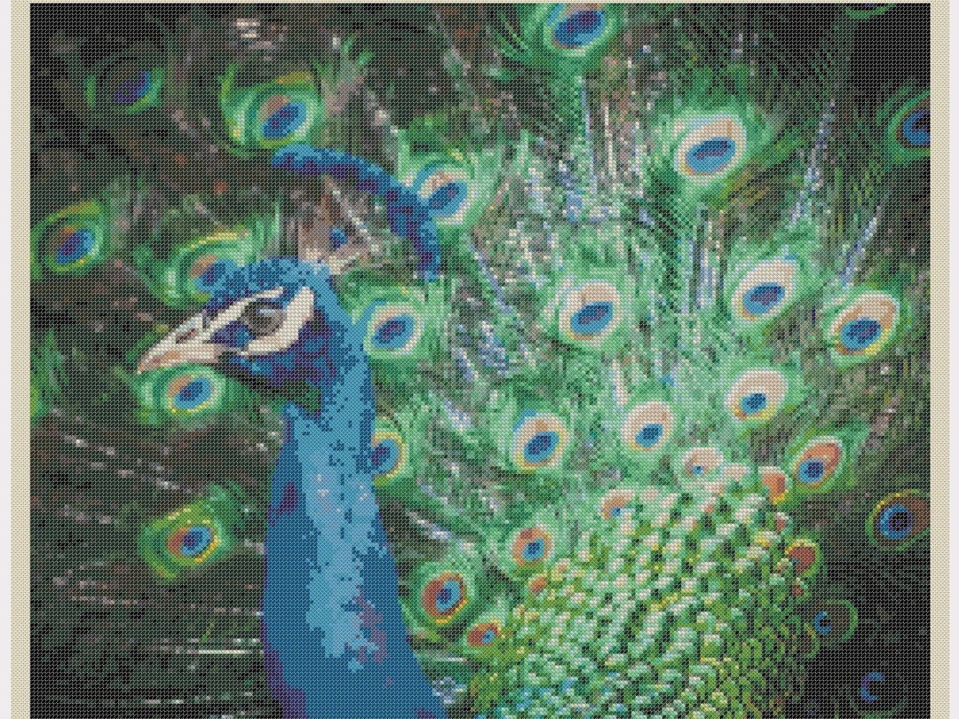 Peacock Counted Cross Stitch Pattern - Etsy