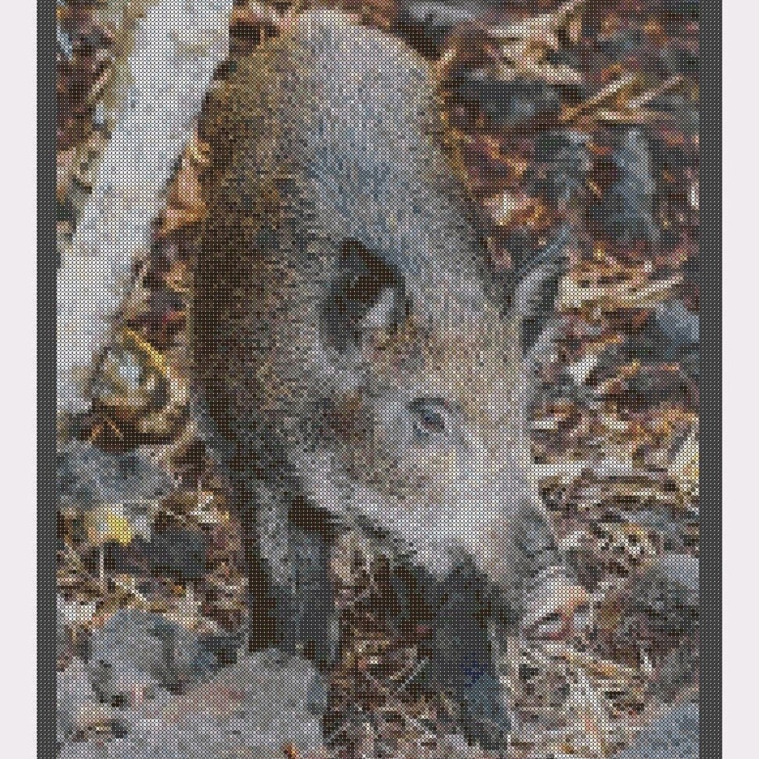 Wild Boar Cross Stitch Pattern - Etsy