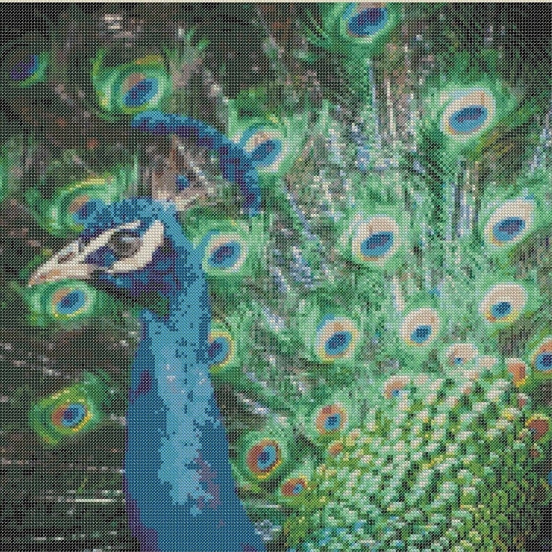 Peacock Counted Cross Stitch Pattern - Etsy