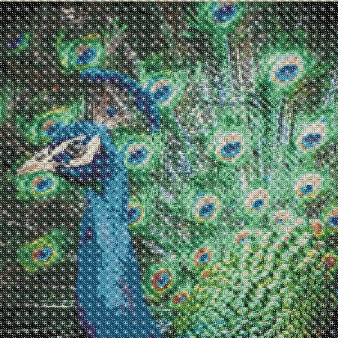 Peacock Counted Cross Stitch Pattern - Etsy