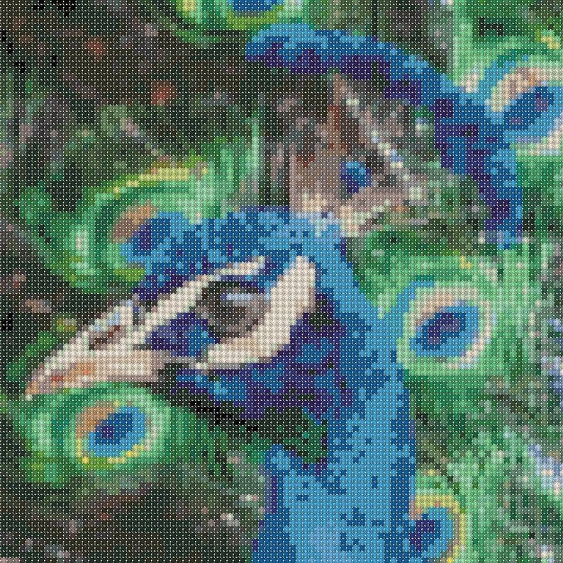 Peacock Counted Cross Stitch Pattern - Etsy