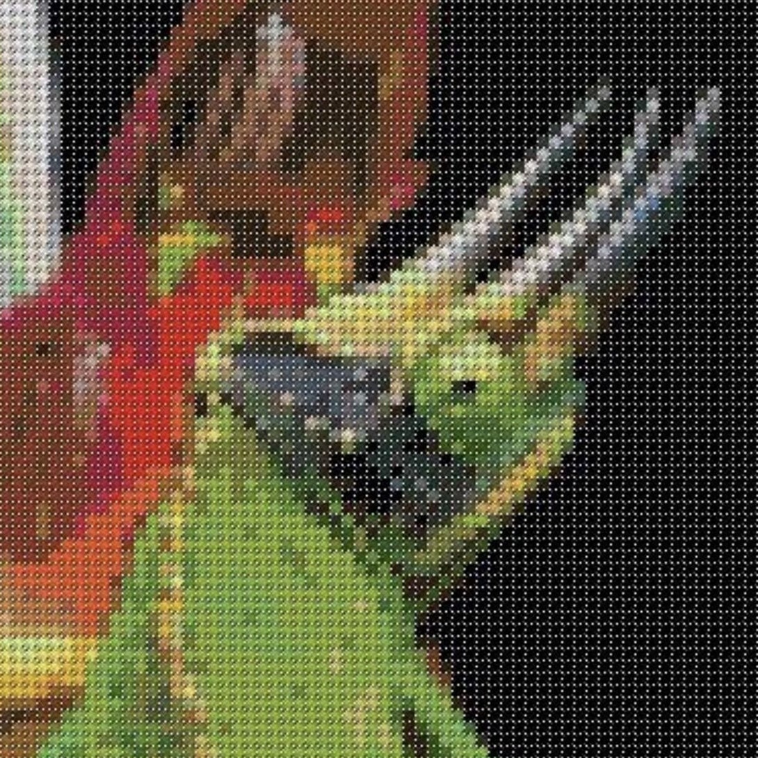 Chameleon Cross Stitch Pattern - Etsy