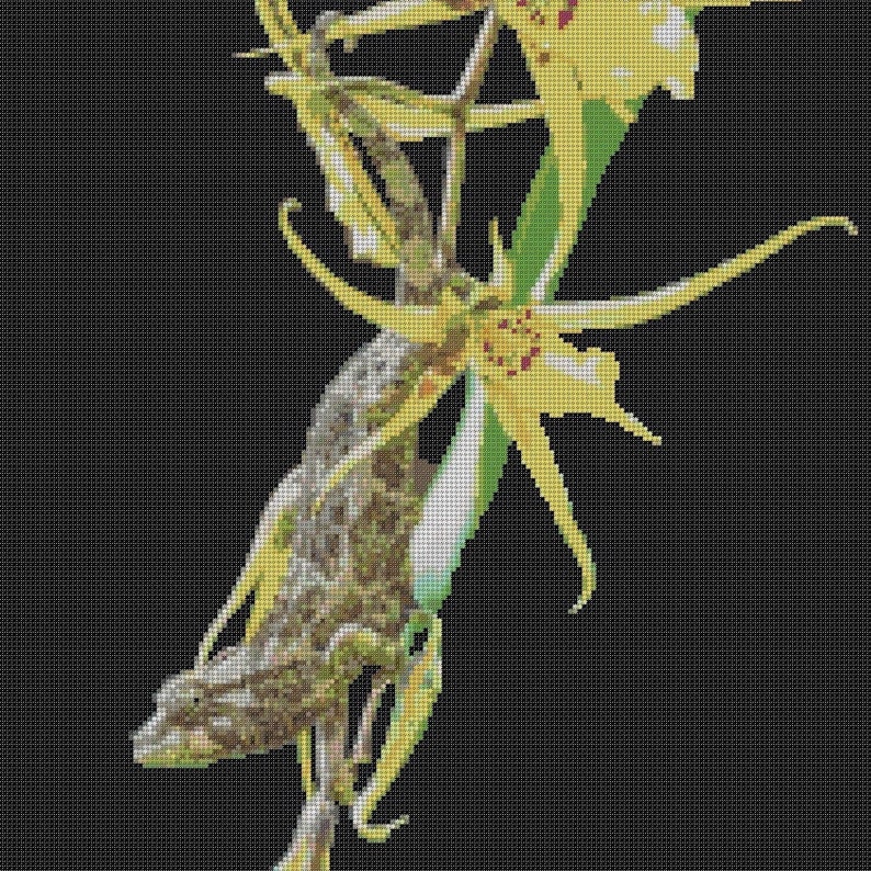 Chameleon on Orchids Cross Stitch Pattern - Etsy
