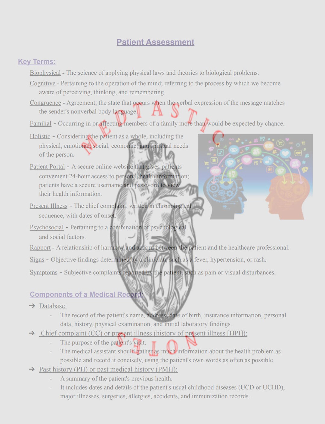 Patient Assessment Notes - Etsy