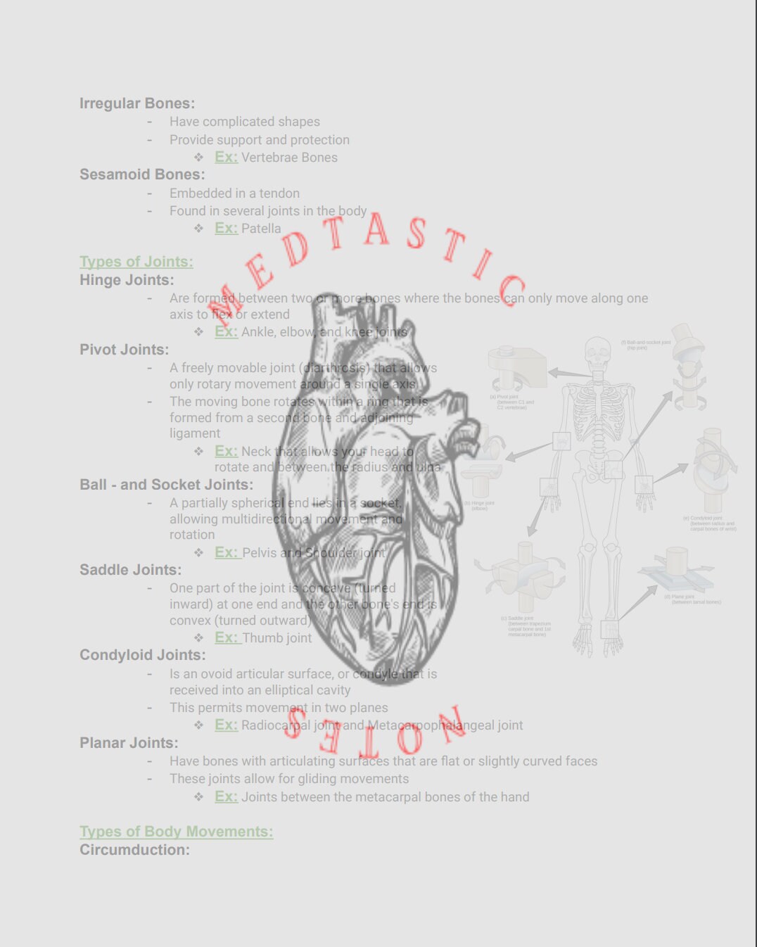 Skeletal System Notes Etsy Skeletal System Notes Etsy
