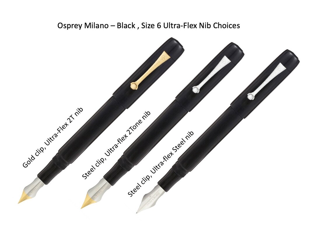 Osprey Milano Black Ebonite Fountain Pen With Ultra-flex Nib in Steel ...