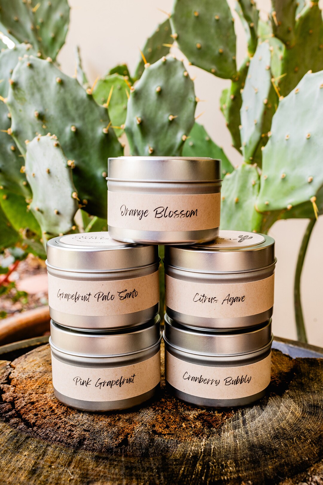 Travel Tins, Party Favors Desert Arizona Southwest White,black, Silver ...