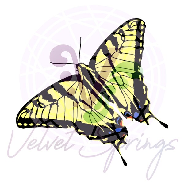 Swallowtail Butterfly Clipart - Etsy