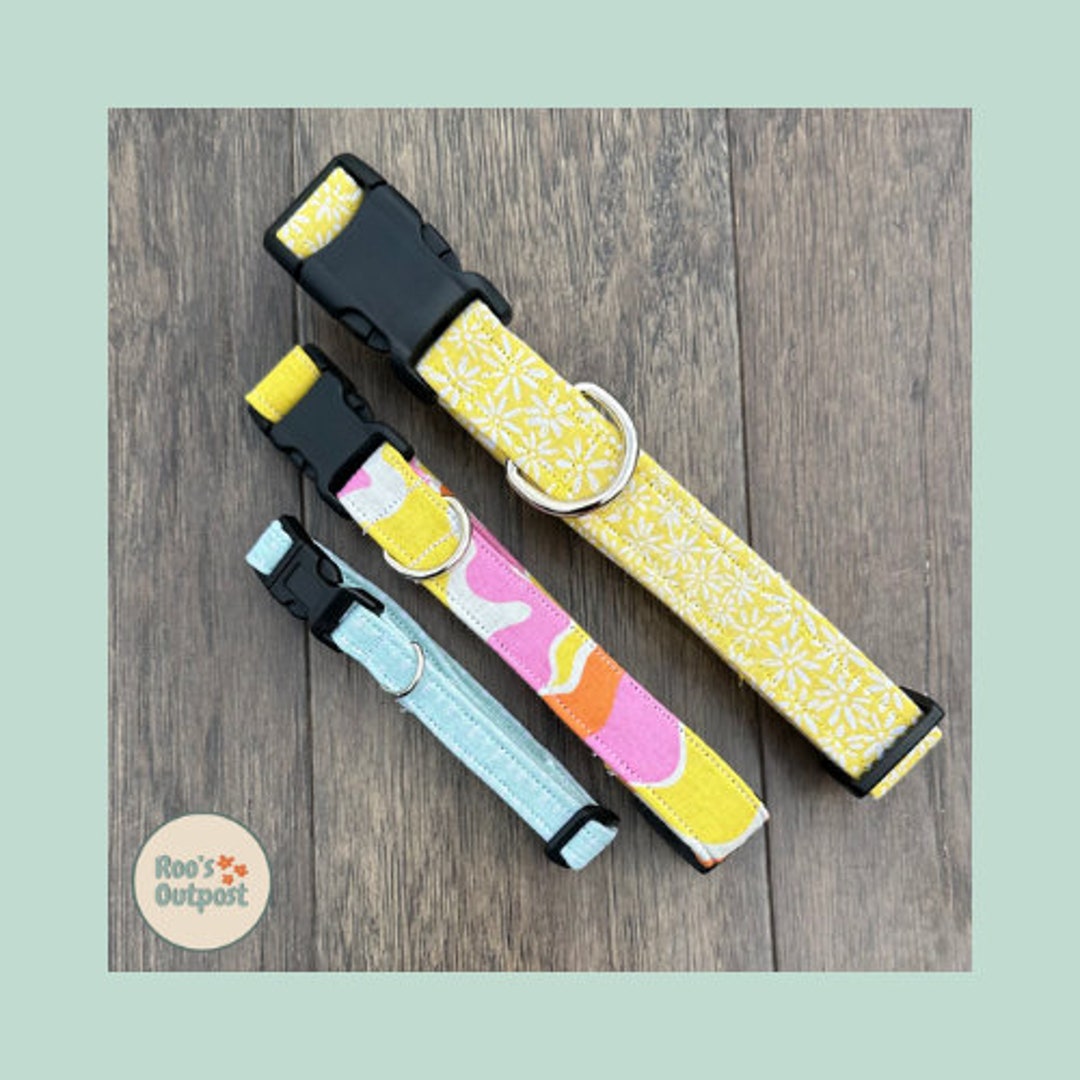 Spring Dog Collars Spring Teal Spring Swirl Simple Yellow - Etsy