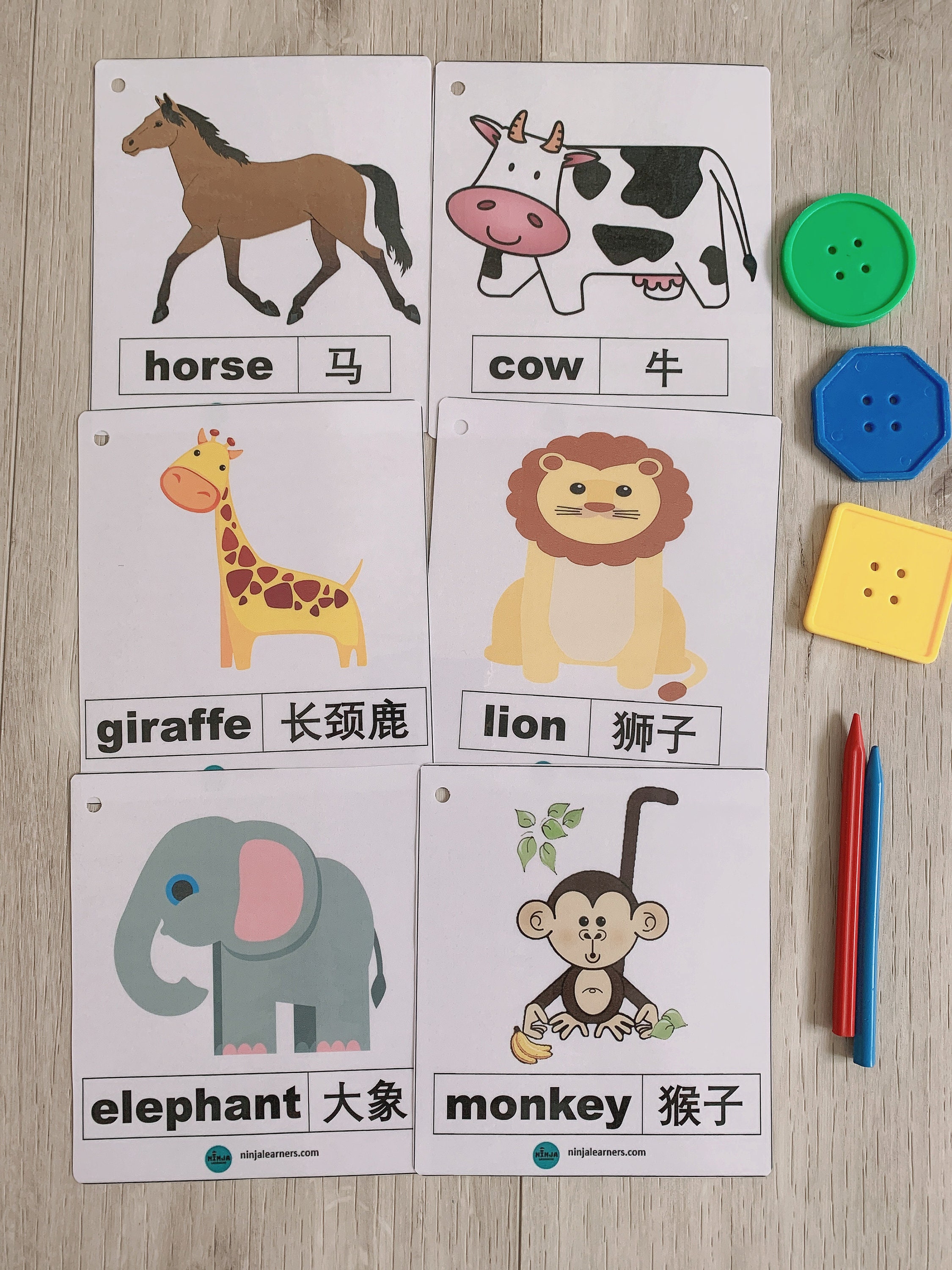 Zoo Animals Flashcards, English Chinese Bilingual Learning, Preschool ...