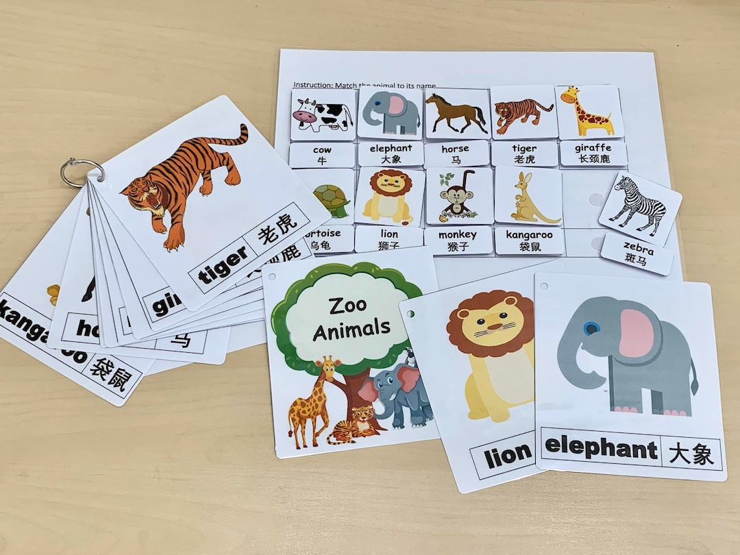 Zoo Animals Flashcards, English Chinese Bilingual Learning, Preschool ...