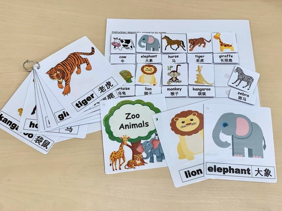 Zoo Animals Flashcards English Chinese Bilingual Learning | Etsy