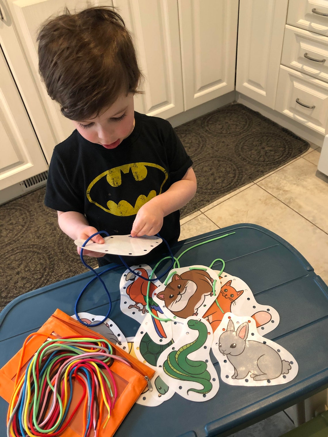 Animal Lacing Cards Sewing Cards Threading Cards Fine Motor - Etsy Canada