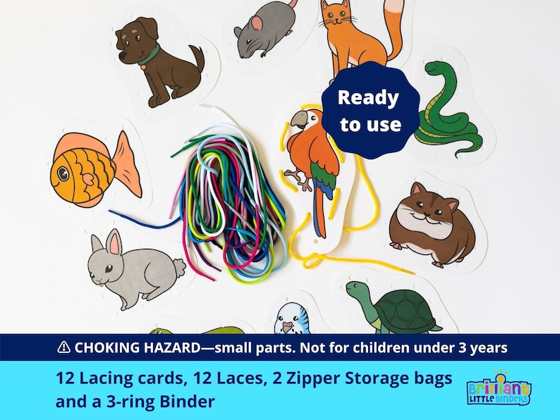Animal Lacing Cards, Sewing Cards, Threading Cards, Fine Motor Activity ...