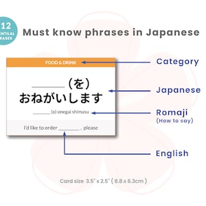 Japanese Phrases Flashcards for Beginners: 112 Essential Phrases (PDF ...