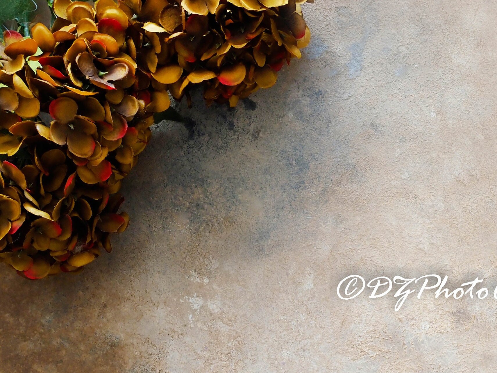 Rustic Digital Background, Floral Vintage Photo Display, Digital ...