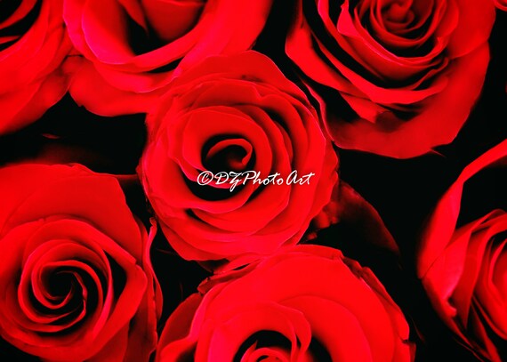 Red Roses Printable Digital Download Instant Download Roses - Etsy