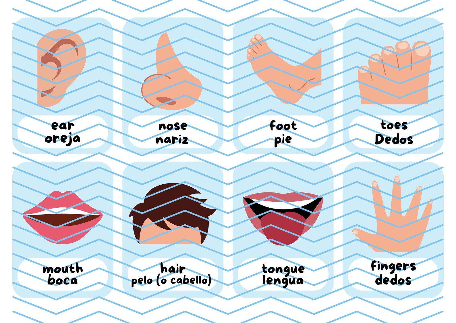 Bilingual Body Parts Flashcards | English & Spanish Printable With ...