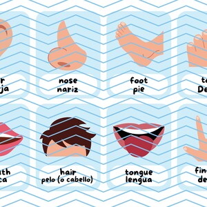 Bilingual Body Parts Flashcards | English & Spanish Printable With ...
