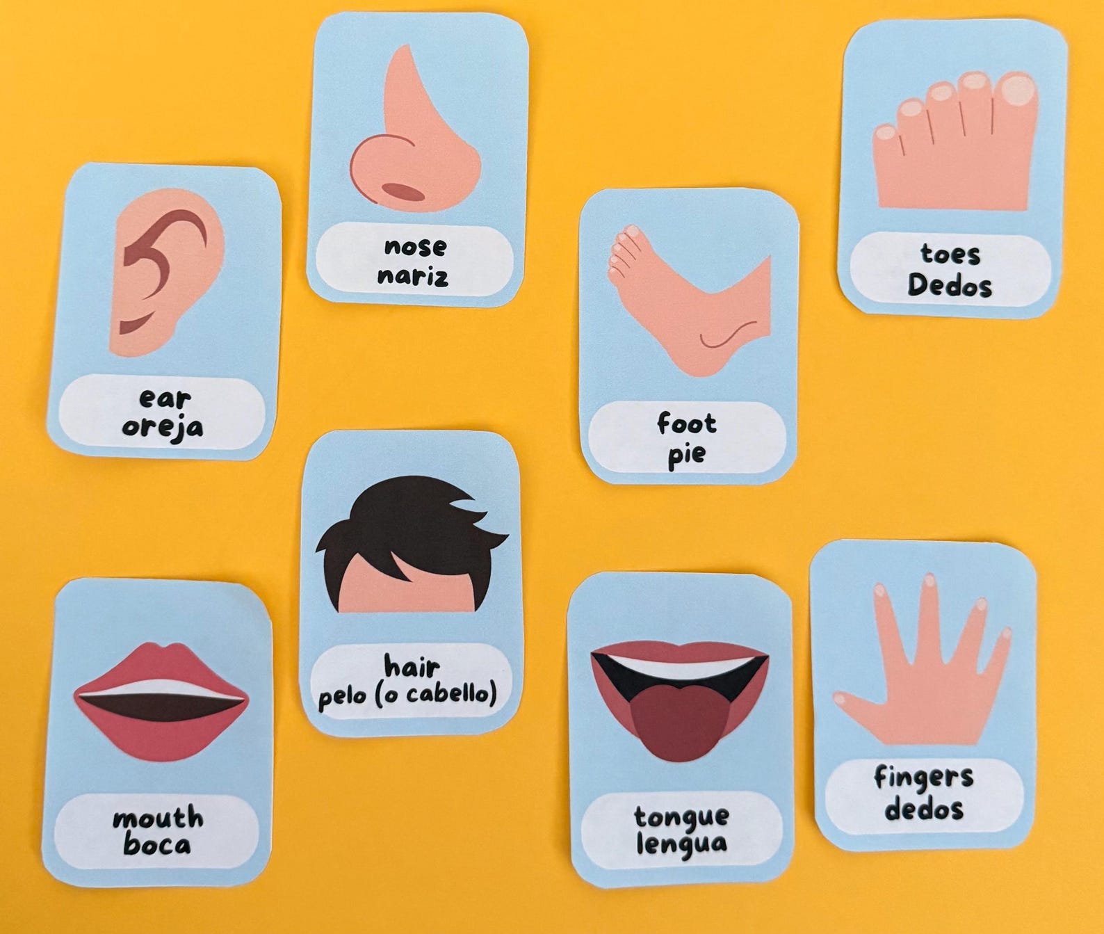 Bilingual Body Parts Flashcards | English & Spanish Printable With ...