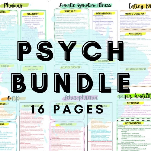 Bipolar Disorder Psychiatric Mental Health Nursing Study Guide - Etsy