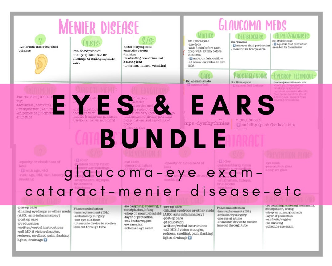 NURSING NOTES FOR Eyes & Ears Disorder of Eye and Ears - Etsy Australia
