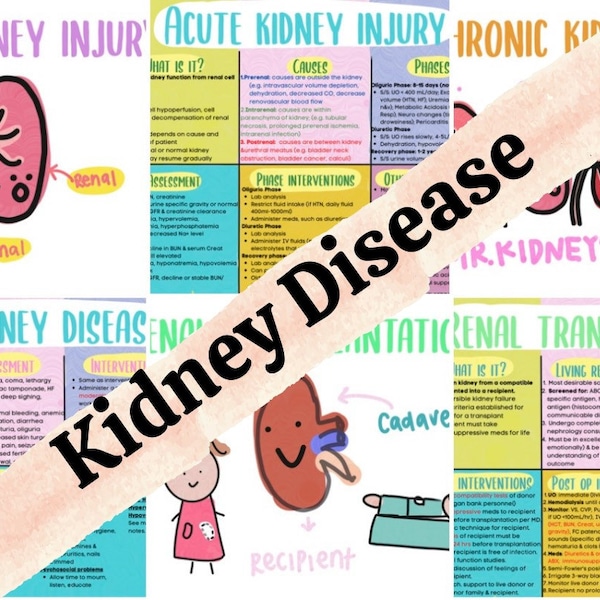 Kidney Care Guide - Etsy