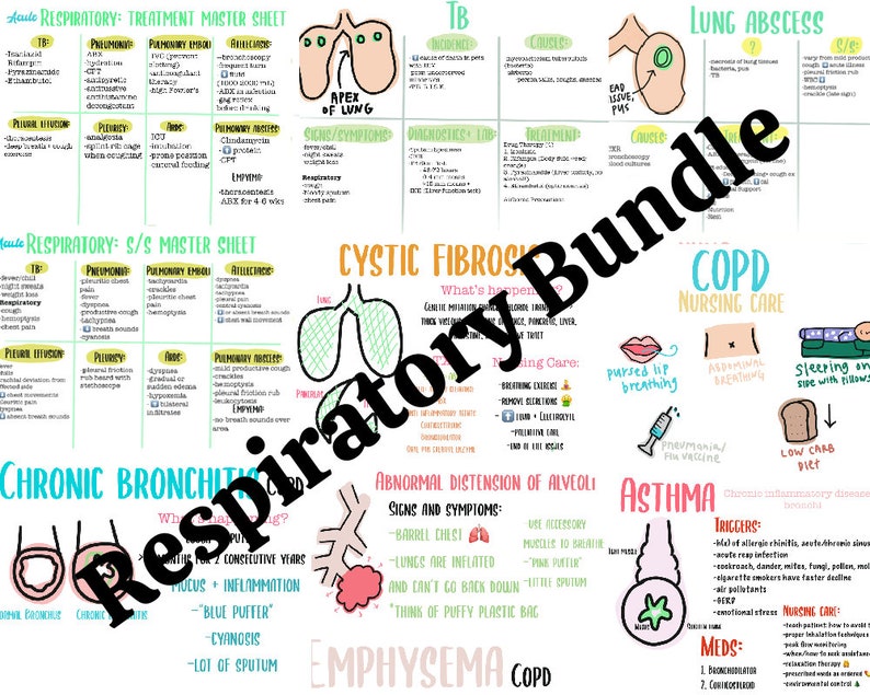 RESPIRATORY NOTES Nursing Notes Prep Notes for Rn and Lvn - Etsy
