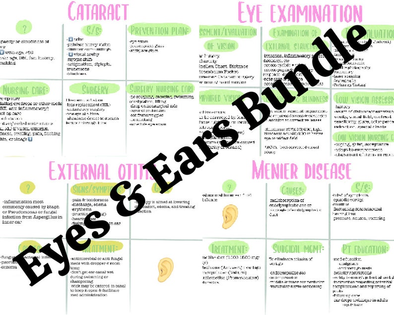 NURSING NOTES FOR Eyes & Ears Disorder of Eye and Ears - Etsy Australia