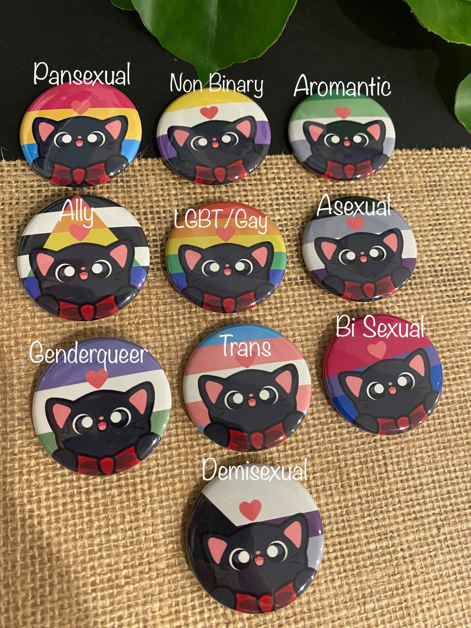 LGBTQIA Cat Buttons 1.5 Inch Button Cat Pin Cat Button - Etsy