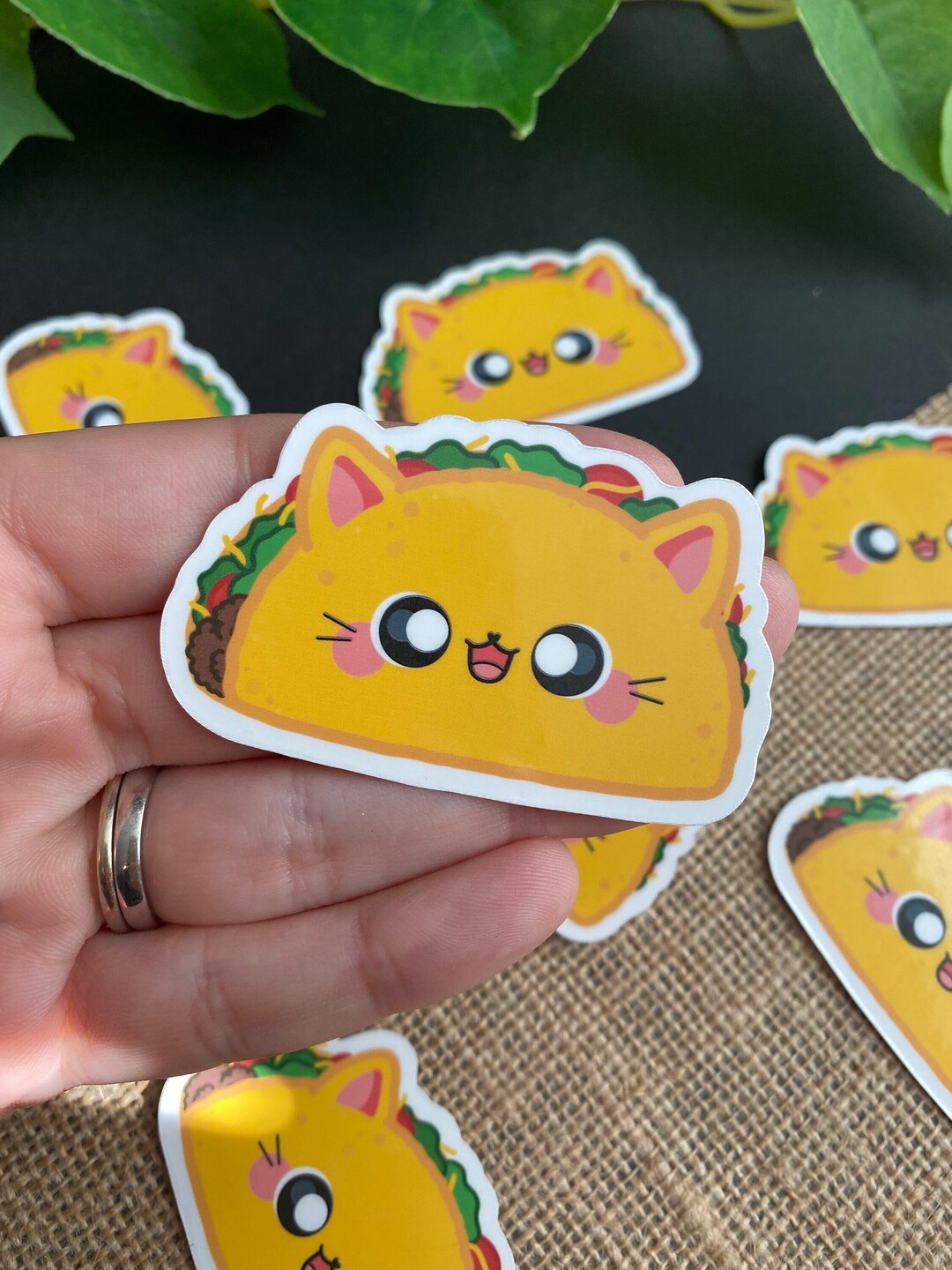 Taco Cat - Cat Sticker - Vinyl Sticker Decal for Laptops, Water Bottles ...