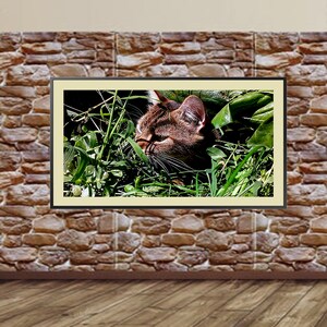 Samsung Frame TV Art, Cat in the Grass, Instant Download, Samsung Art ...
