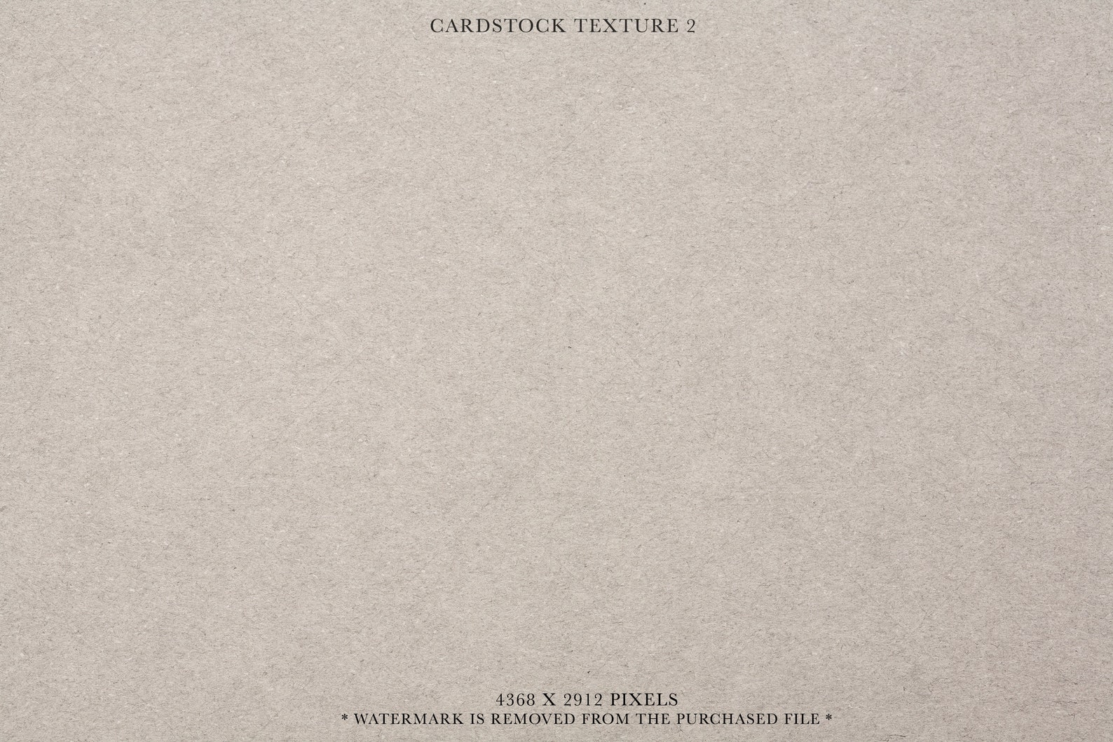 Beige Cardstock Texture Background | Neutral Cardstock Background ...