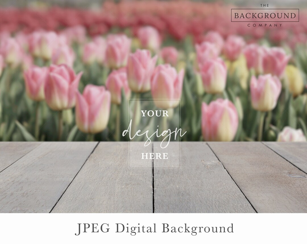 Tulip Flowers Background Mockup | Spring Background Mock up | Flowers ...