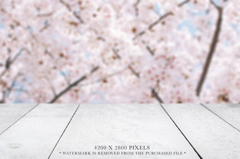 Spring Product Background Mockup | Cherry Blossom Background Mockup ...