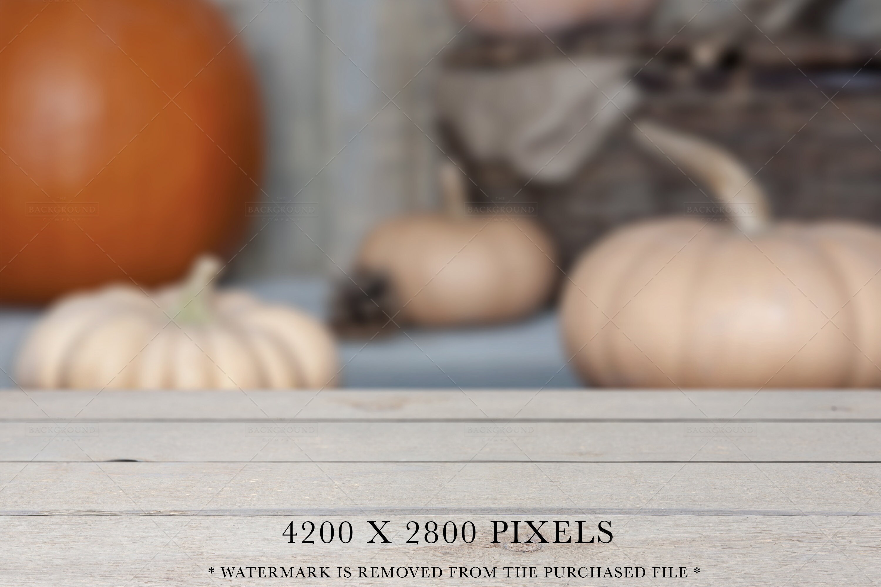 Fall Background Mockup Pumpkin Background Mockup Fall - Etsy