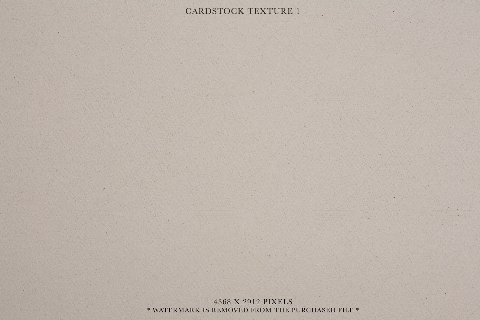 Beige Cardstock Texture Background | Neutral Cardstock Background ...