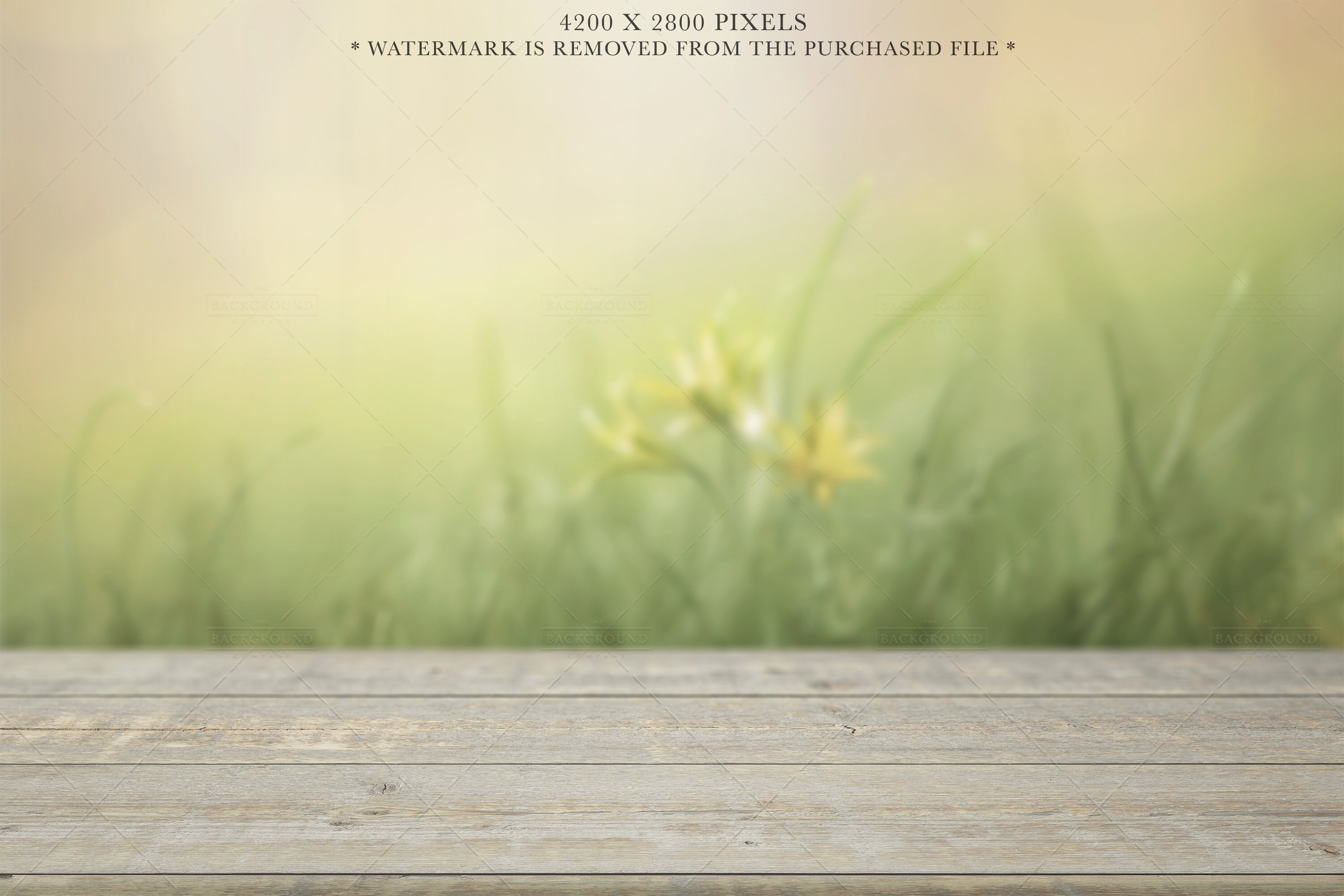 Easter Background Table Mockup Spring Background Mock up - Etsy