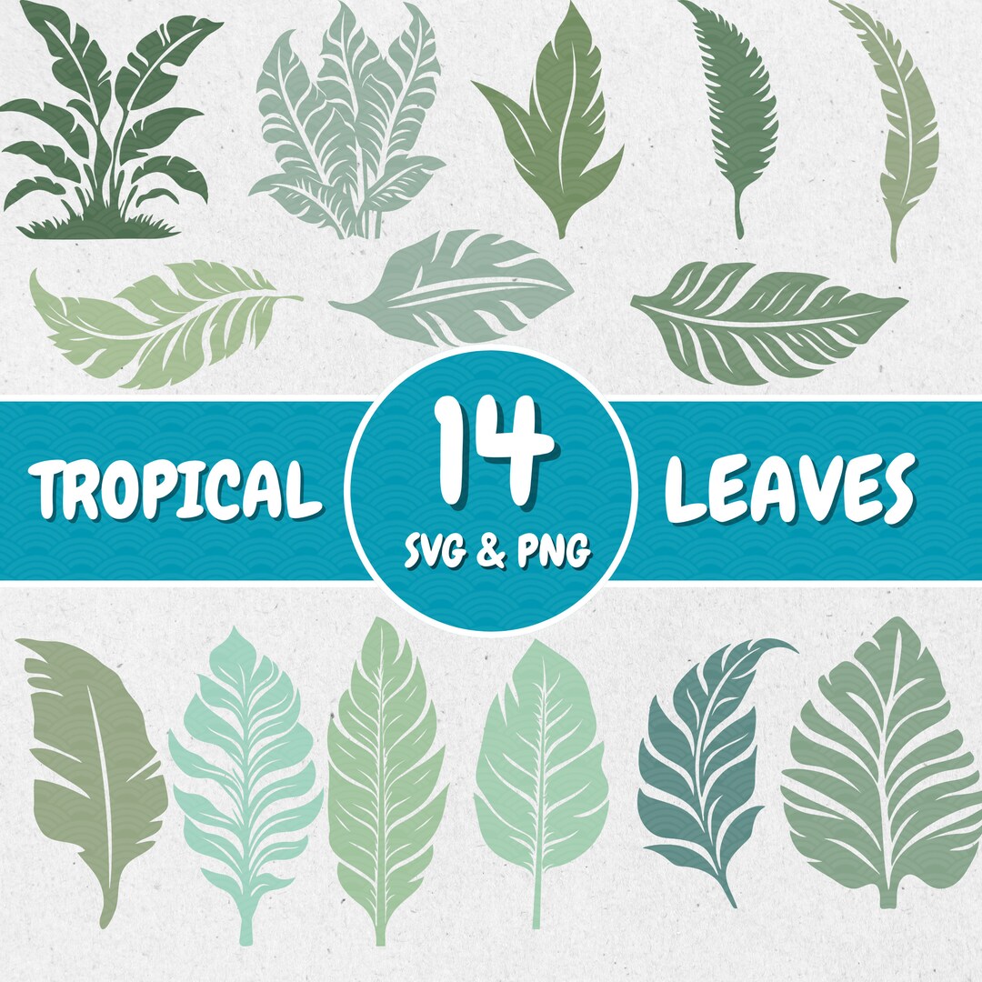 Hojas svg, hoja svg, hojas tropicales svg, vegetación svg - Etsy España