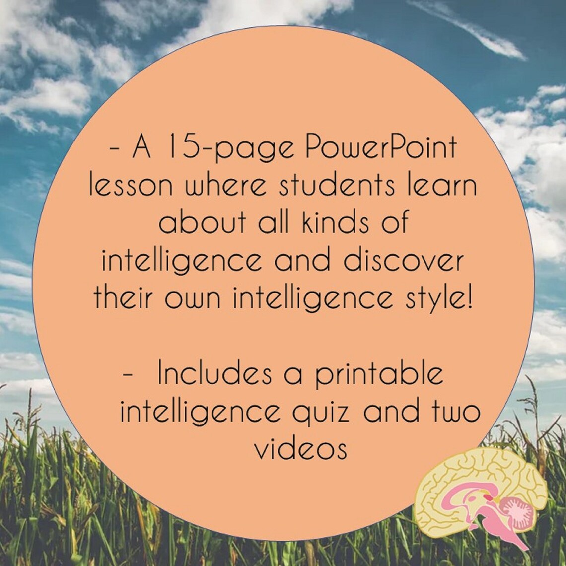 Instant Download - Multiple Intelligence Powerpoint Digital Lesson - Etsy