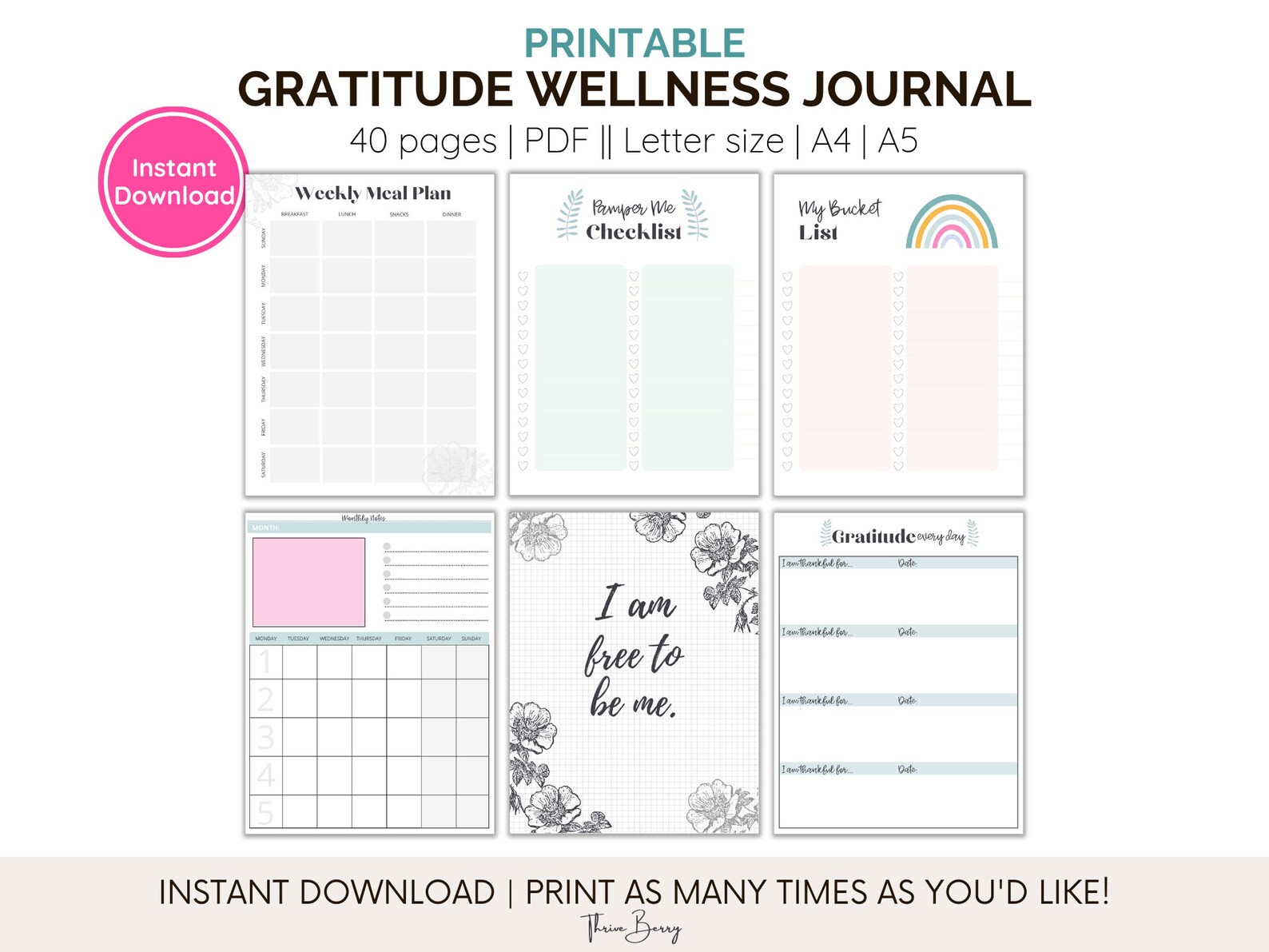 Printable Gratitude Journal, 40 Page Health Wellness Journal With Meal ...