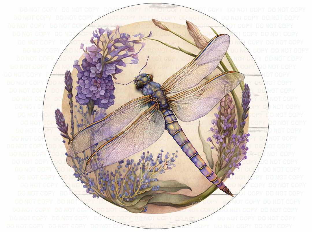 Dragonfly Wreath Sign, Welcome Wreath, Vintage Dragonfly Wreath Sign ...