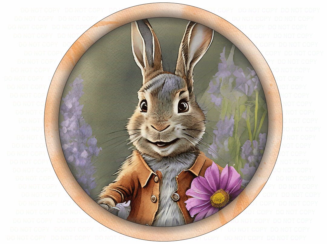 Easter Wreath Signs, Peter Rabbit Sign, Peter Cottontail , Easter Sign ...