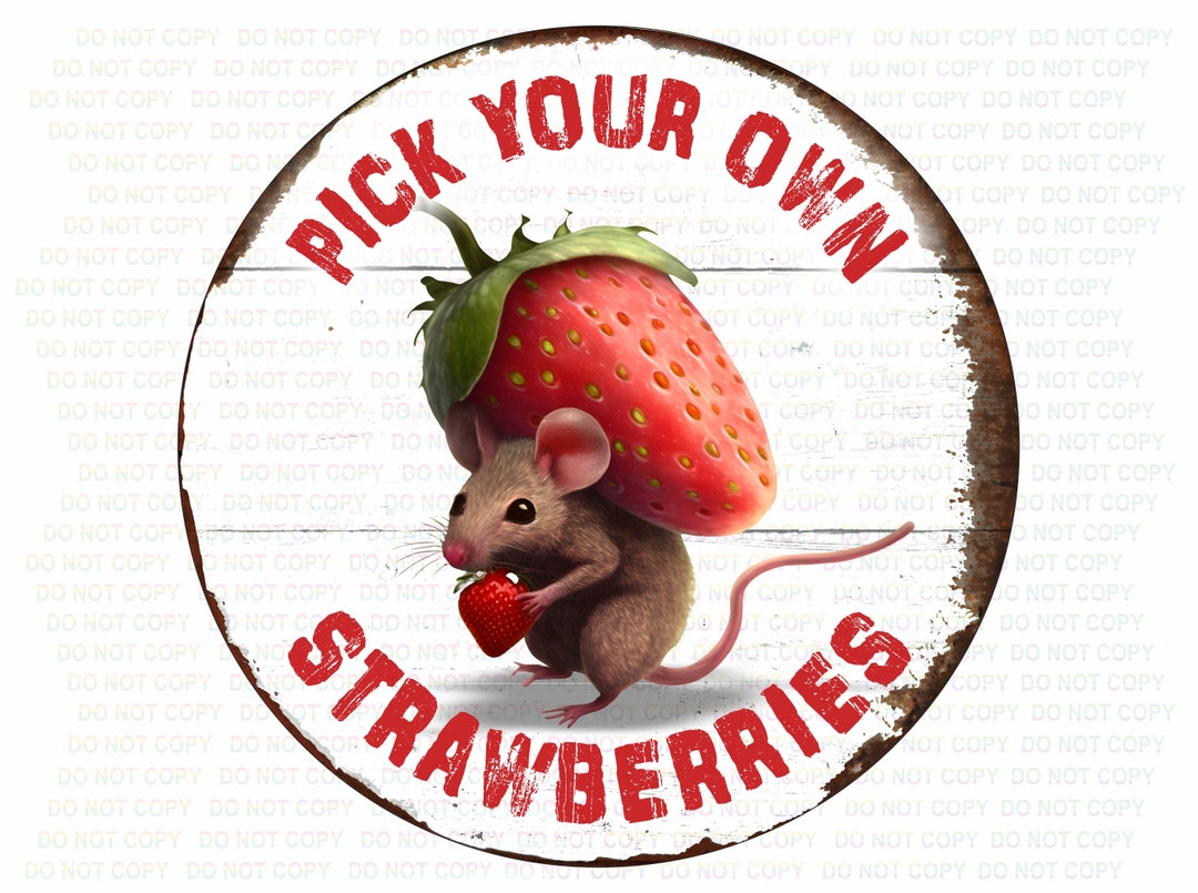 Pick Your Own Strawberry Sign, Strawberry Wreath Sign, Summer Wreath ...